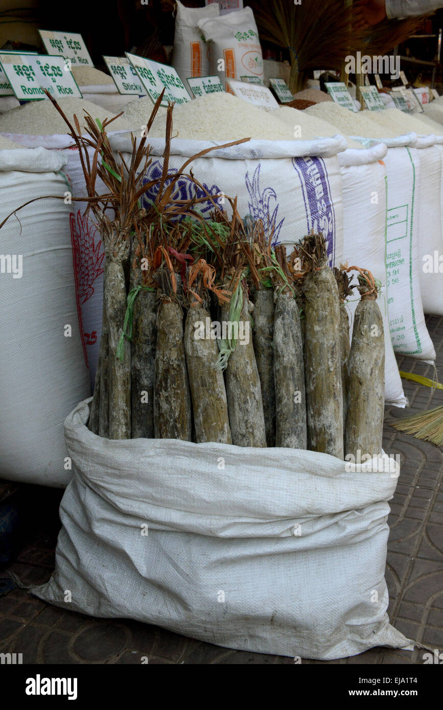 ASIA CAMBODIA SIEM RIEP Stock Photo - Alamy