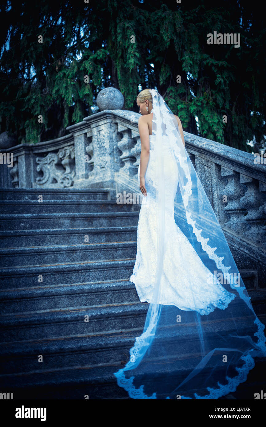 Beautiful bride hi-res stock photography and images - Alamy