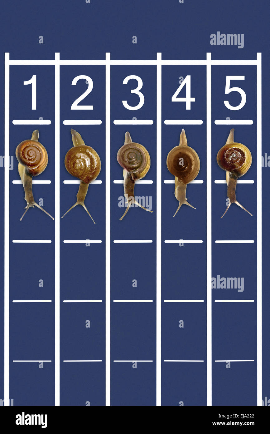 Snails running on track Stock Photo - Alamy