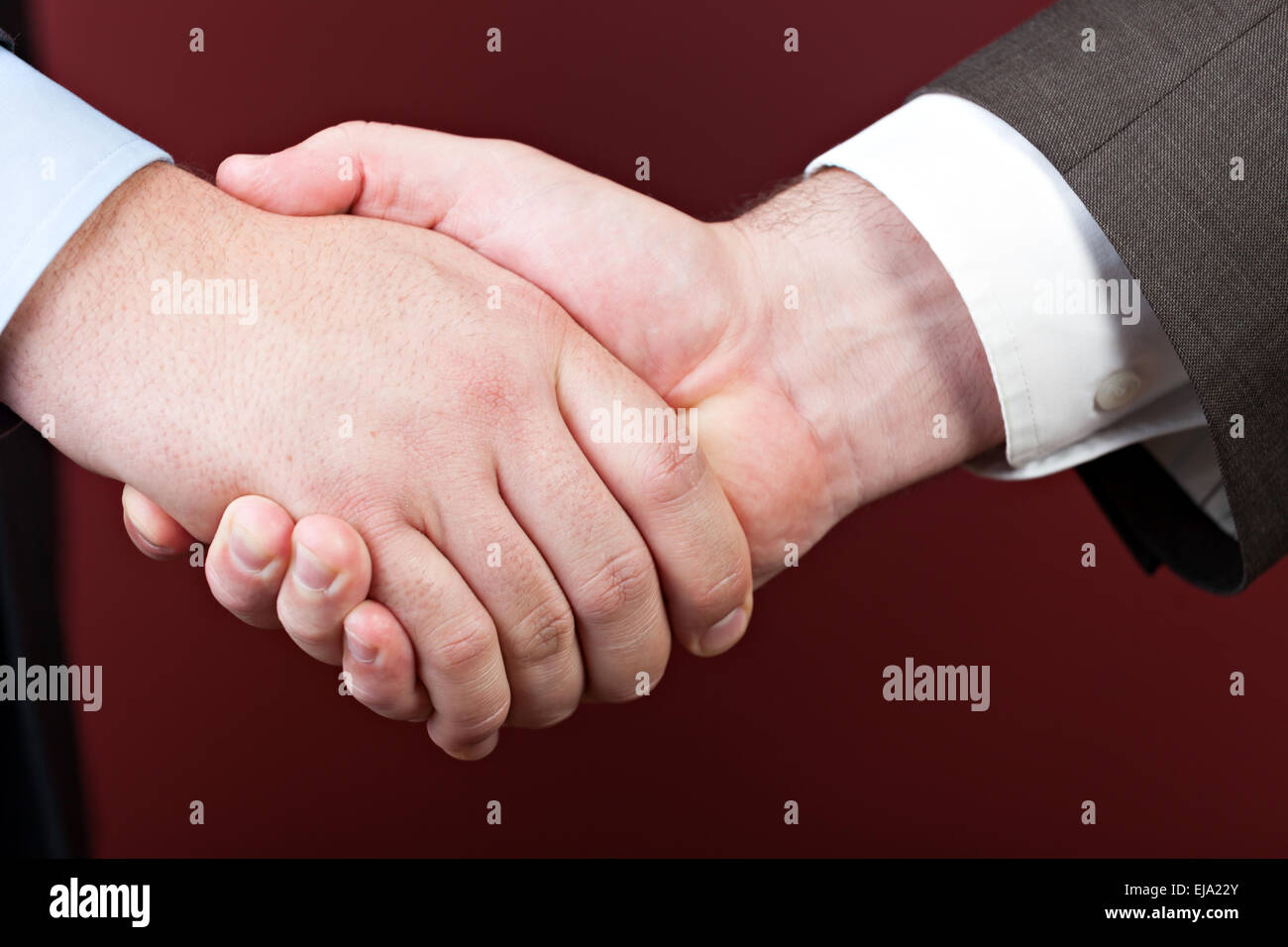 Successful business deal negotiations hi-res stock photography and ...