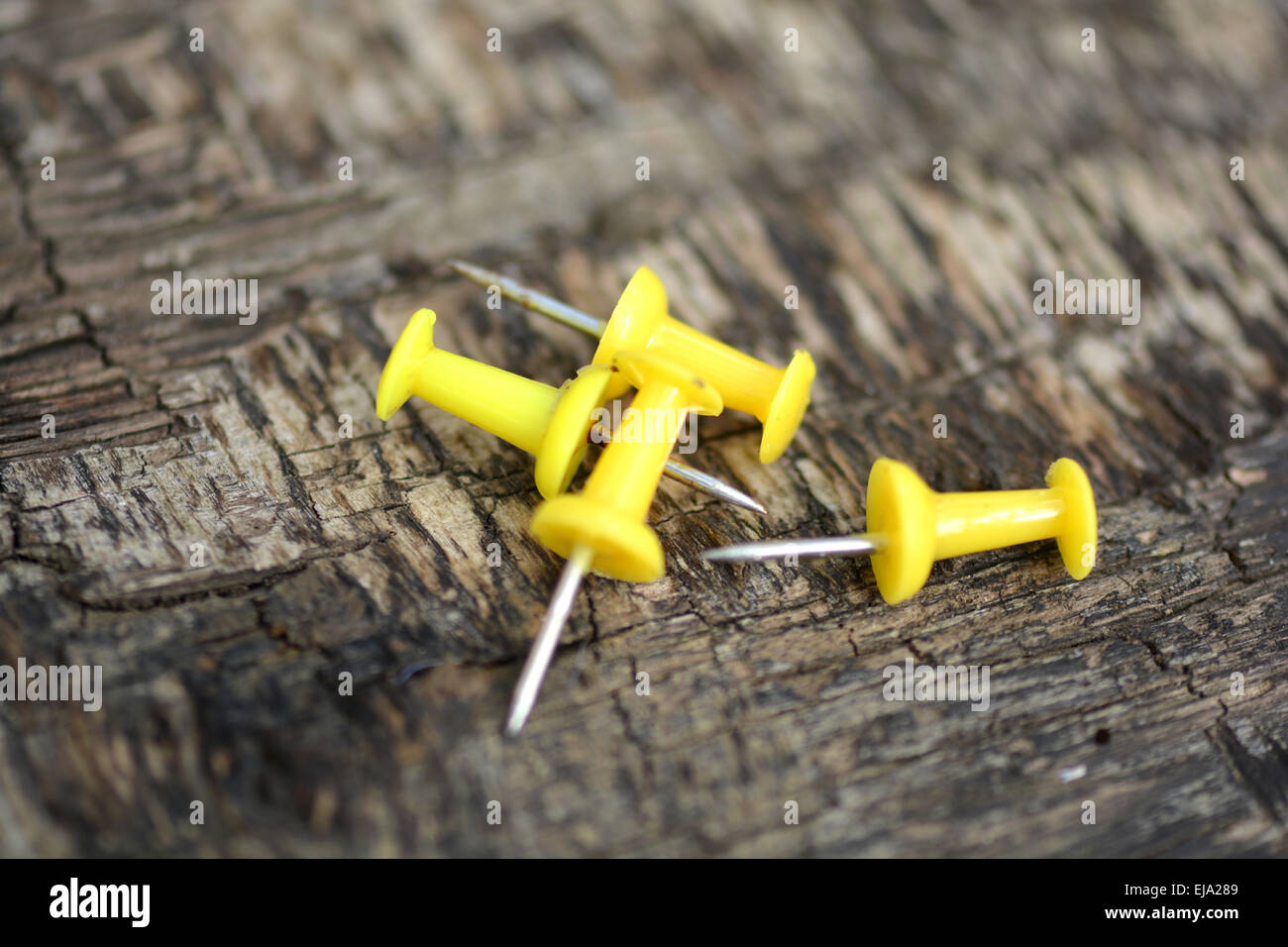 Red string board pins hi-res stock photography and images - Alamy