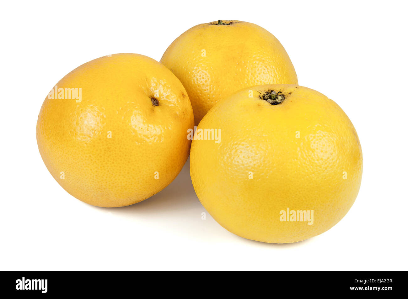 Three whole ripe grapefruits isolated on white background with clipping ...