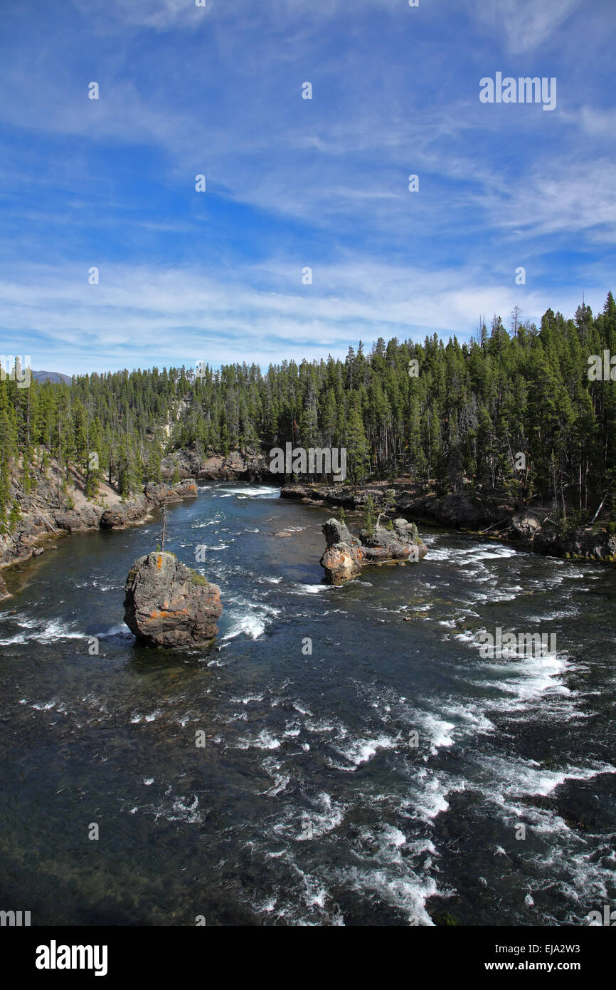 Cold river in forest hi-res stock photography and images - Alamy