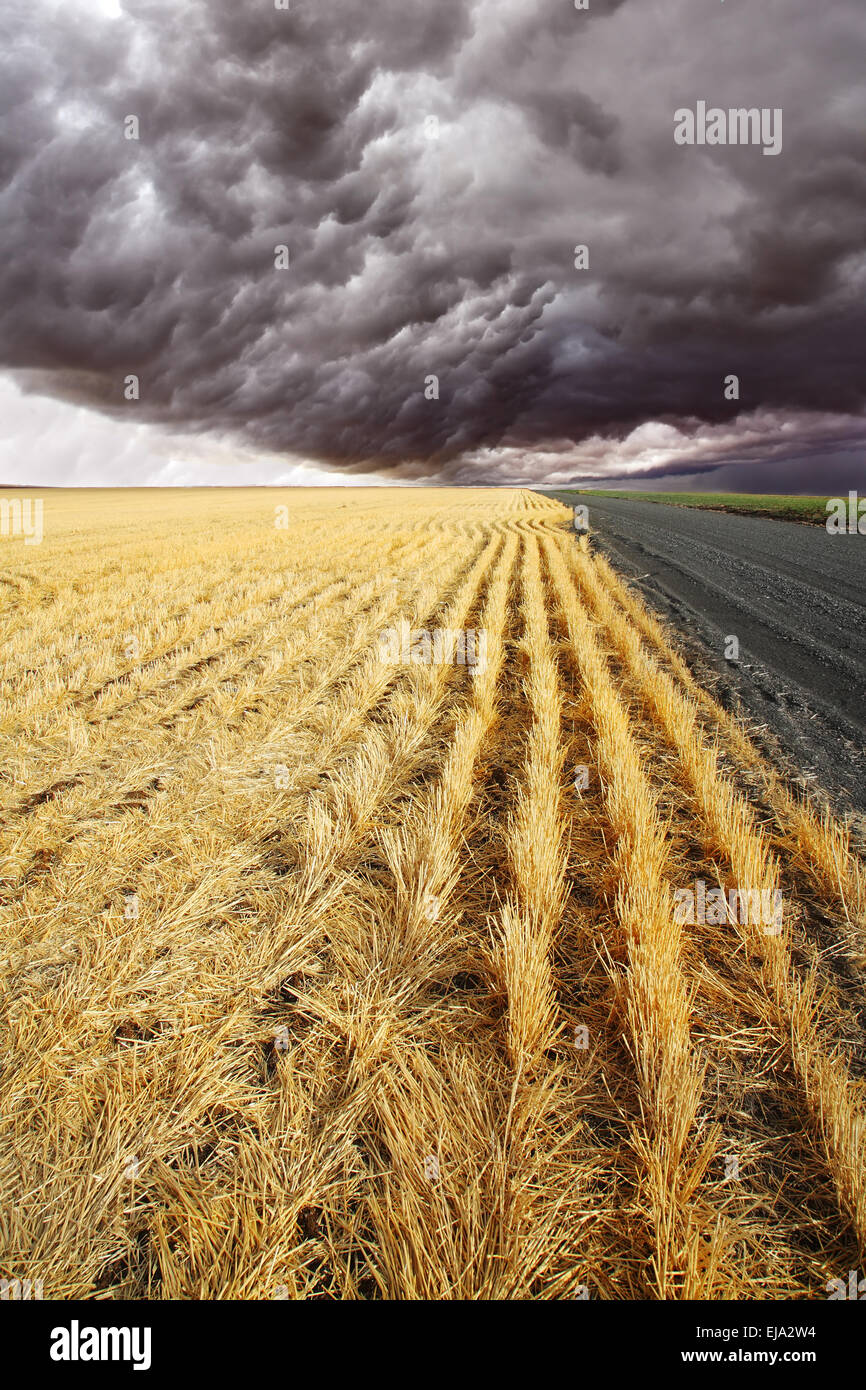 The rural road to fields Stock Photo - Alamy