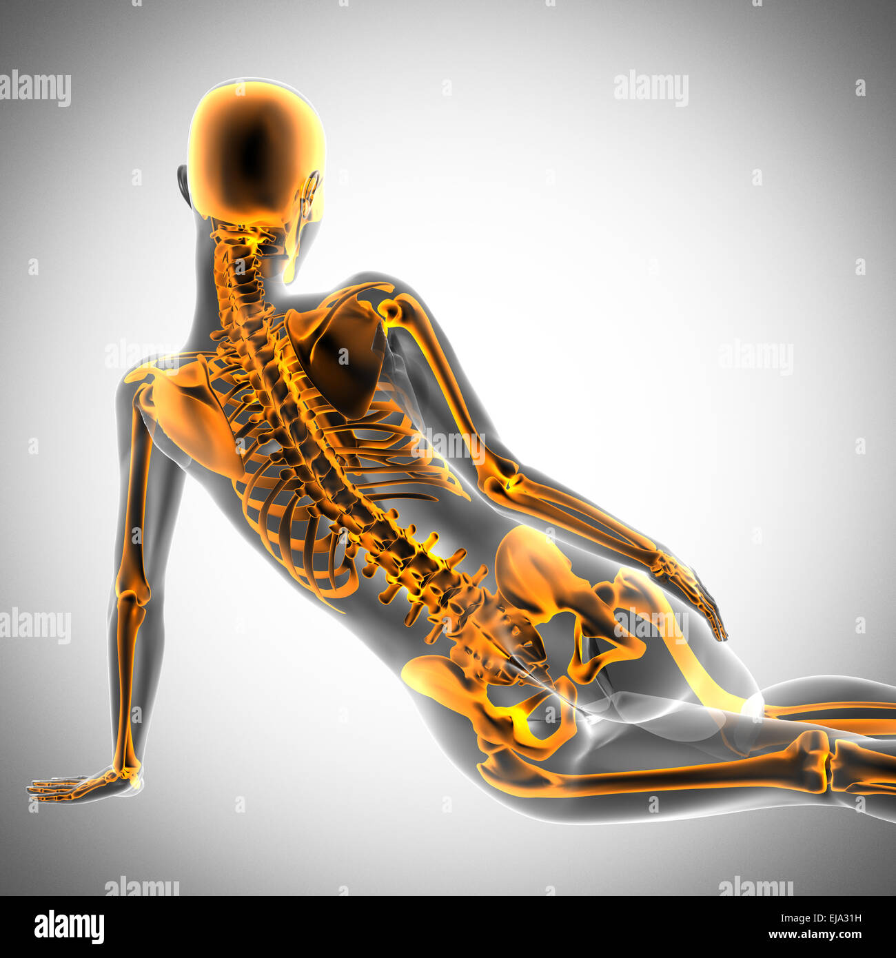 woman radiography scan on white background Stock Photo - Alamy
