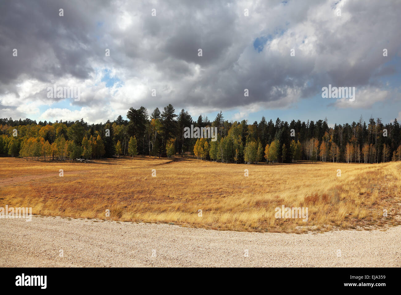 Autumn fields and forests Stock Photo - Alamy