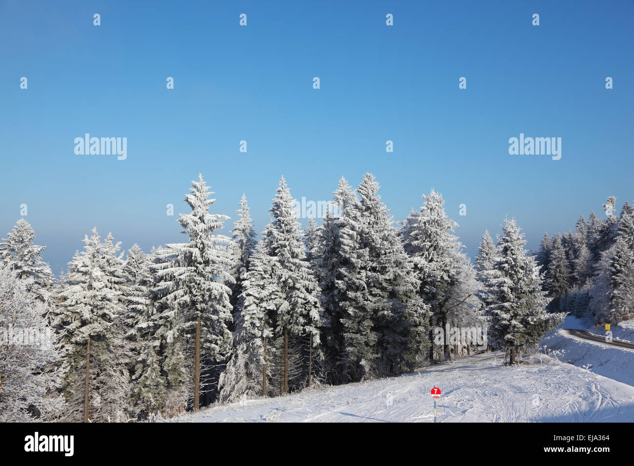 Winter road in coniferous forest hi-res stock photography and images ...