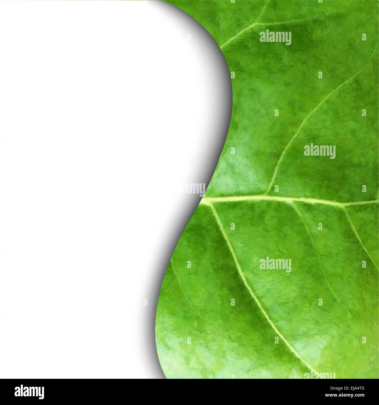 Leaf poster hi-res stock photography and images - Alamy