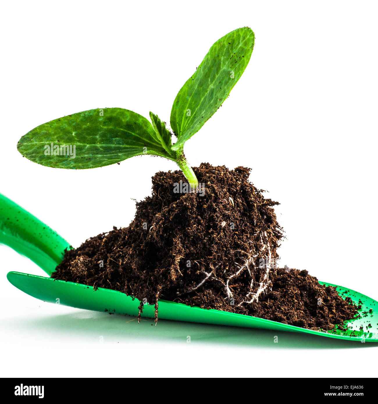 Tool plant hi-res stock photography and images - Alamy
