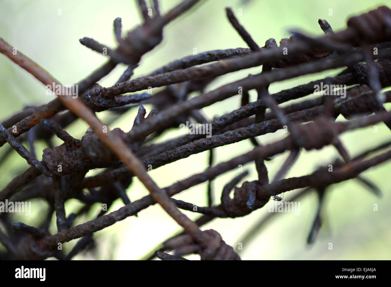 mesh textile cloth macro shot Stock Photo - Alamy