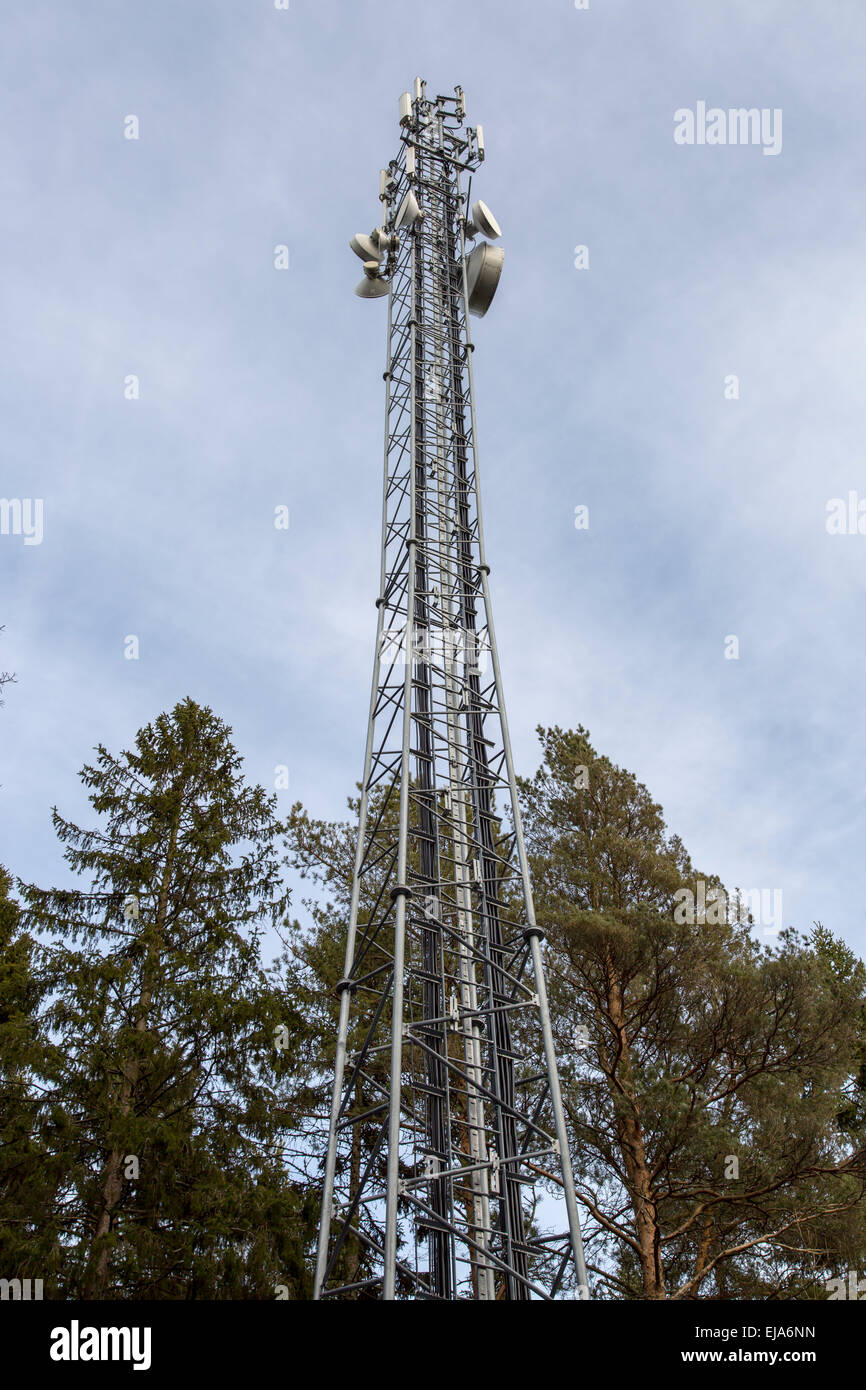 Cellphone Tower with Trees Stock Photo - Alamy