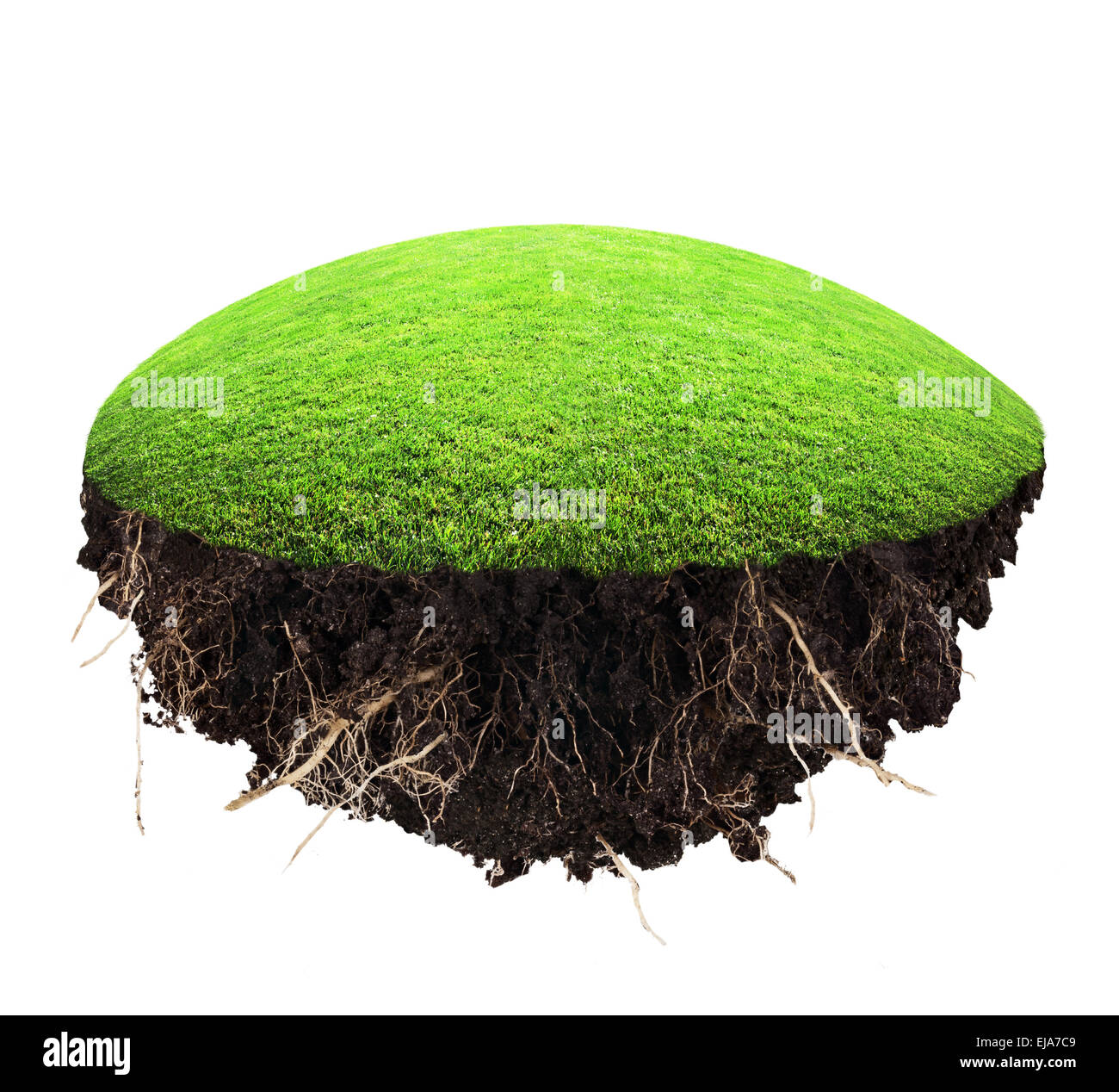 Weed island Cut Out Stock Images & Pictures - Alamy