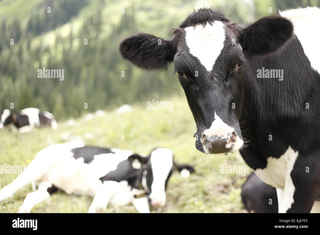 Milk way view hi-res stock photography and images - Alamy