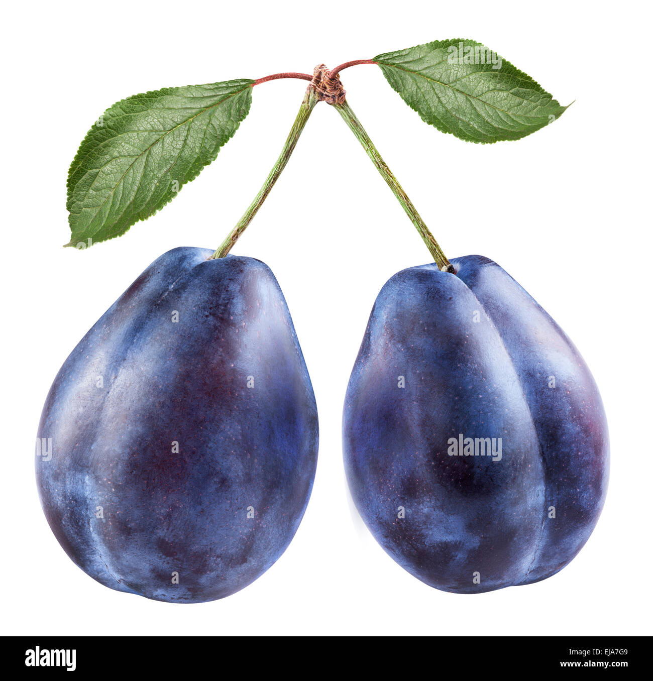 Two plums hi-res stock photography and images - Alamy