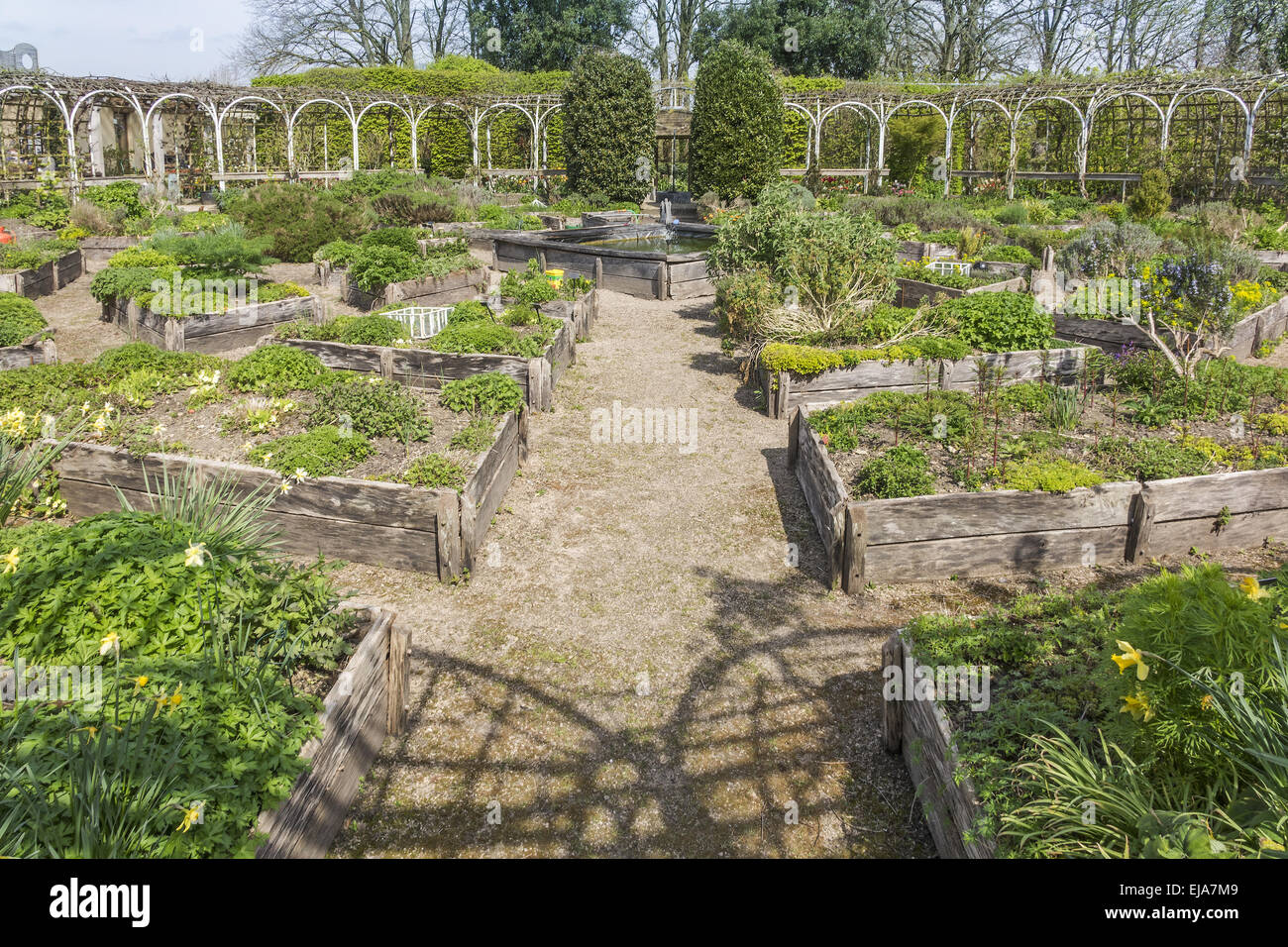 Formal Raised Bed Garden Wiltshire UK Stock Photo - Alamy