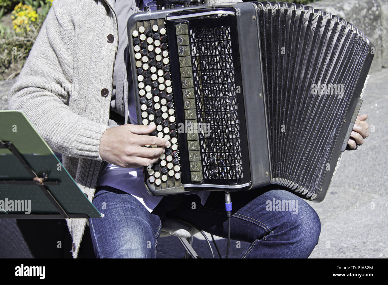 Musician with accordion playing in the street, and musical ...