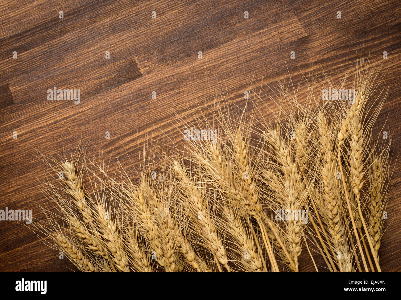 Top view closeup wheat hi-res stock photography and images - Alamy