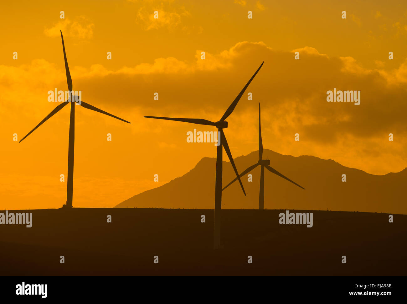 CALEDON, SOUTH AFRICA - Saturday 21 March 2015: a wind farm outside the ...