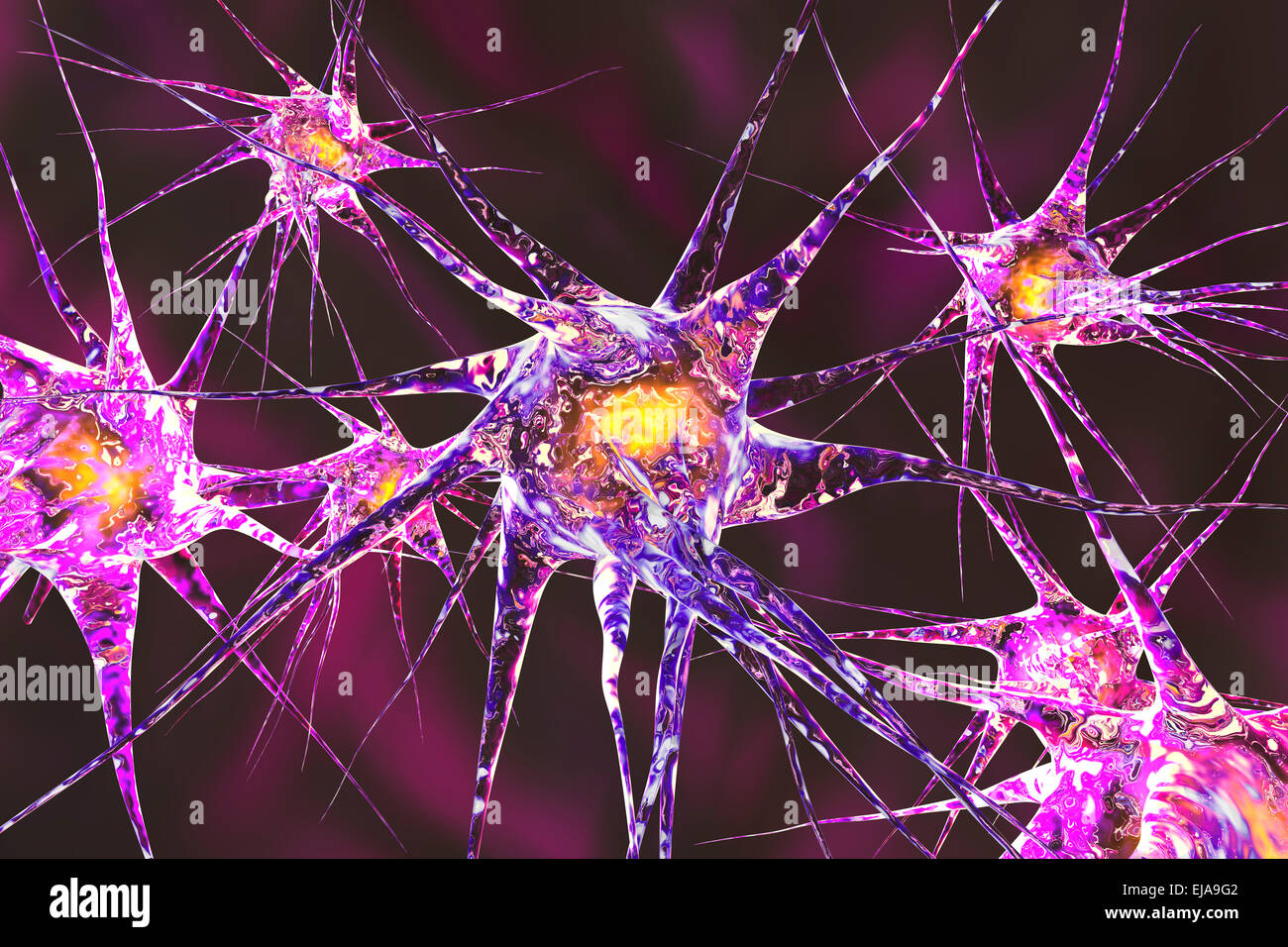 Neural network microscope hi-res stock photography and images - Alamy