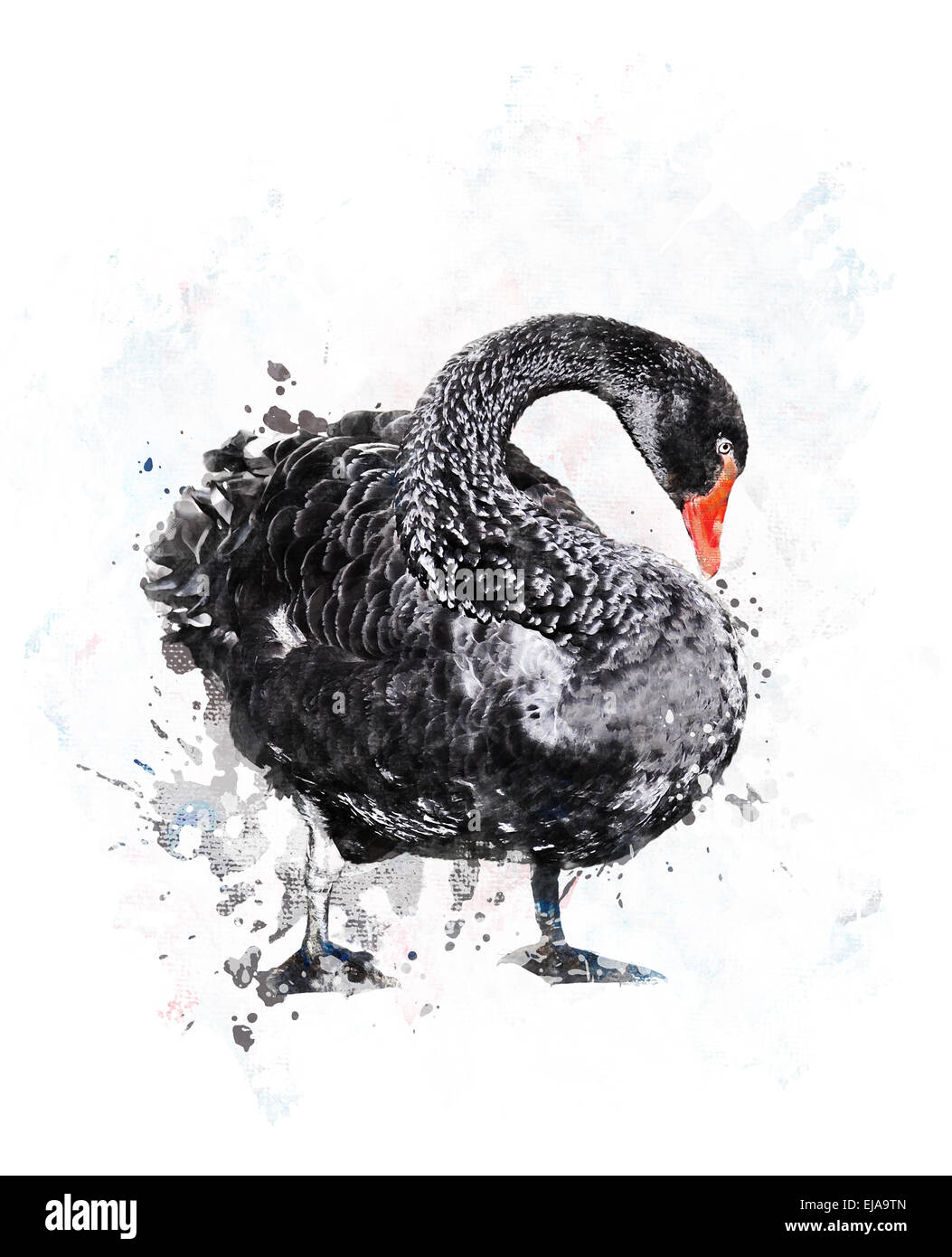 Wildlife watercolor Cut Out Stock Images & Pictures - Alamy