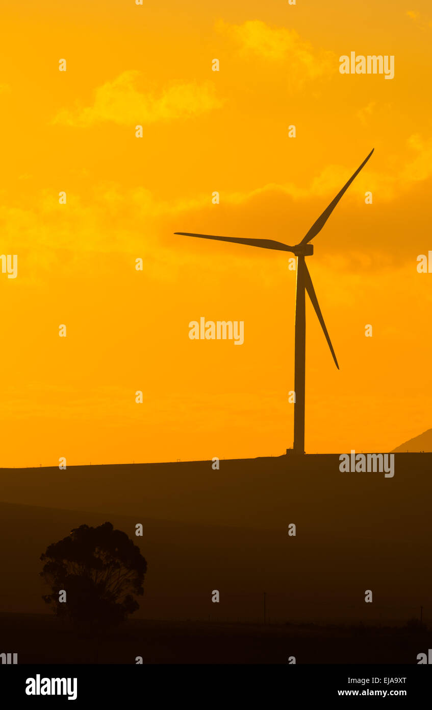 CALEDON, SOUTH AFRICA - Saturday 21 March 2015: a wind farm outside the ...