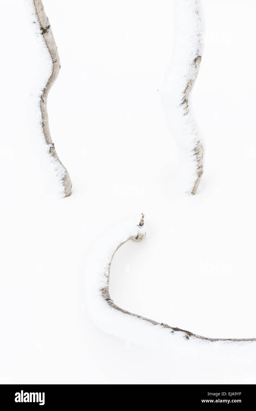 Sweden winter snow Cut Out Stock Images & Pictures - Alamy