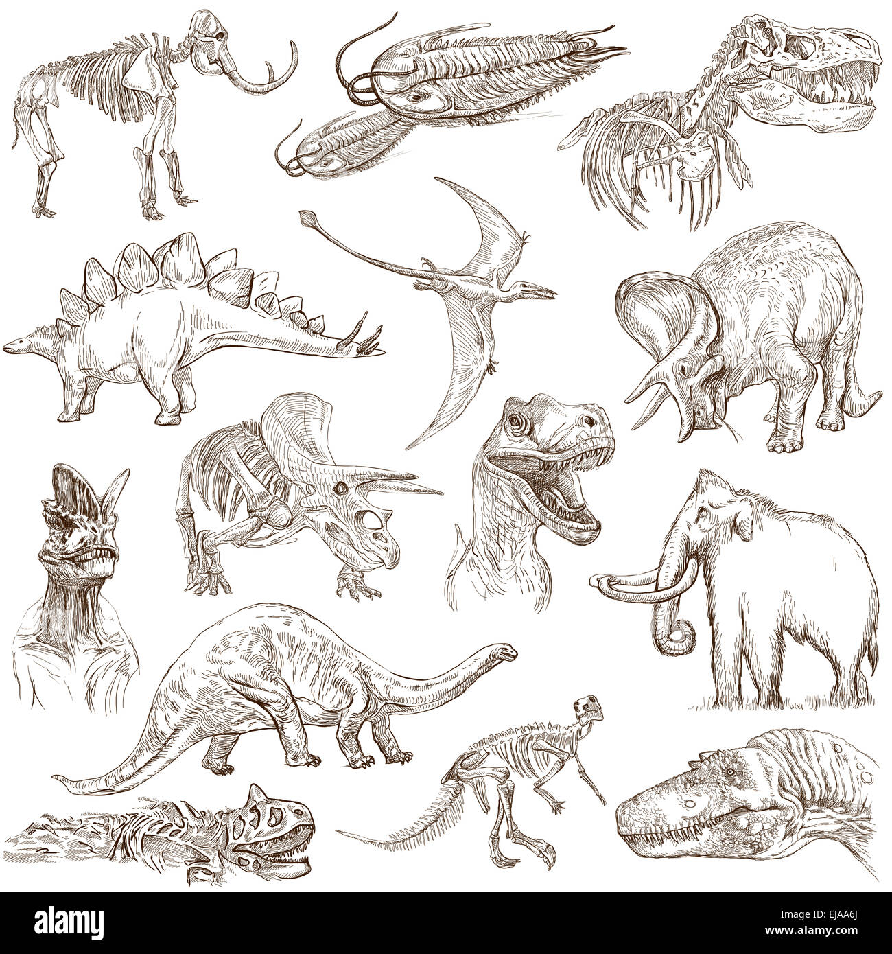 Teeth outlines Cut Out Stock Images & Pictures - Alamy