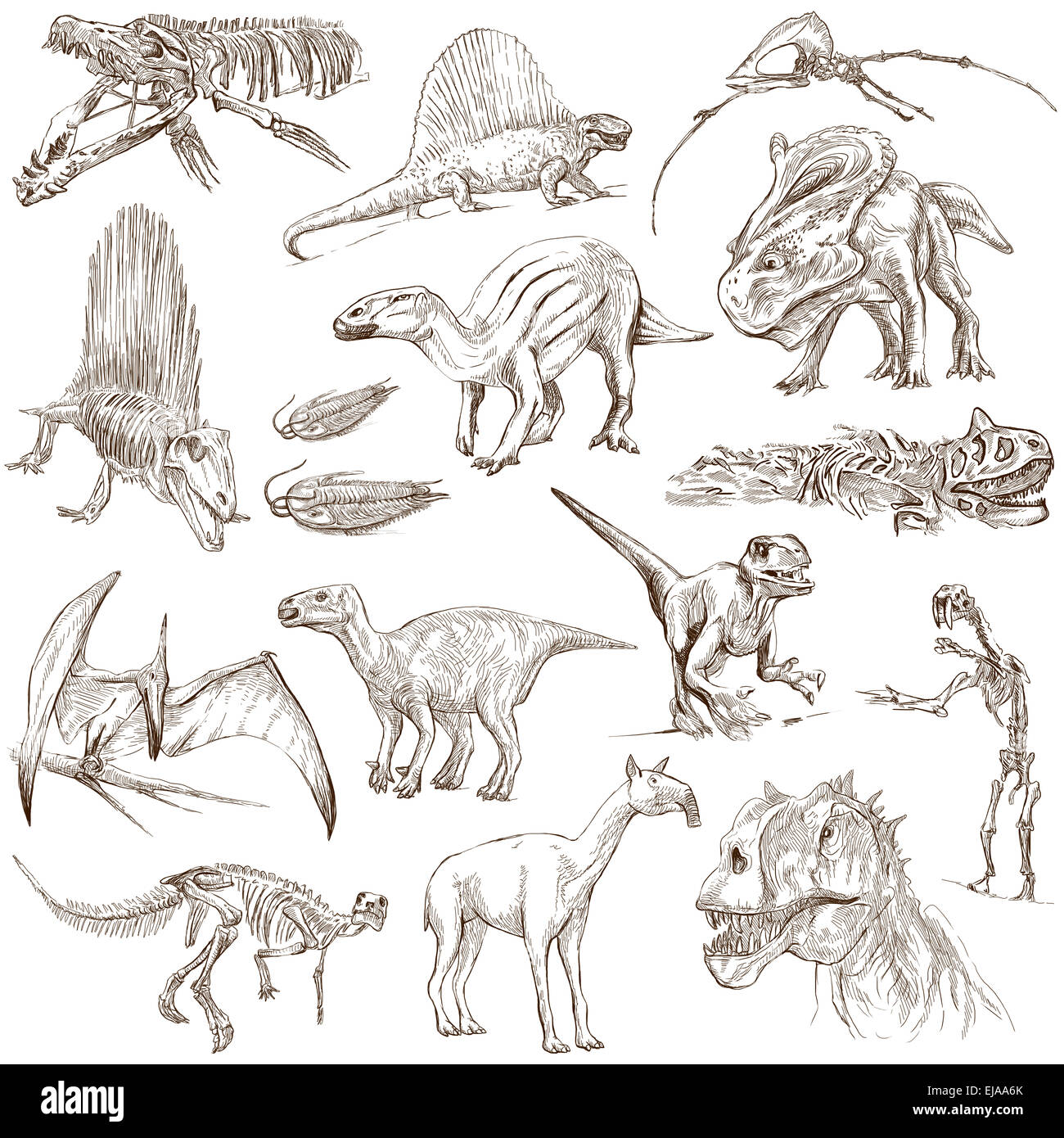 From series: DINOSAURS - Collection of an hand drawn illustrations ...