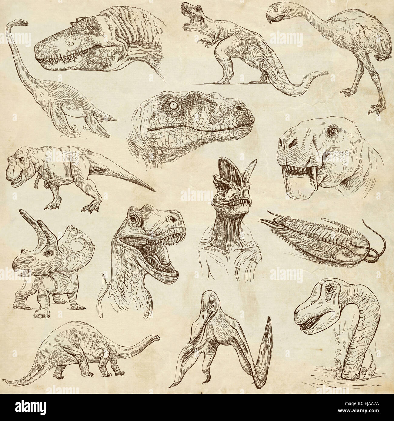 From series: DINOSAURS - Collection of an hand drawn illustrations ...