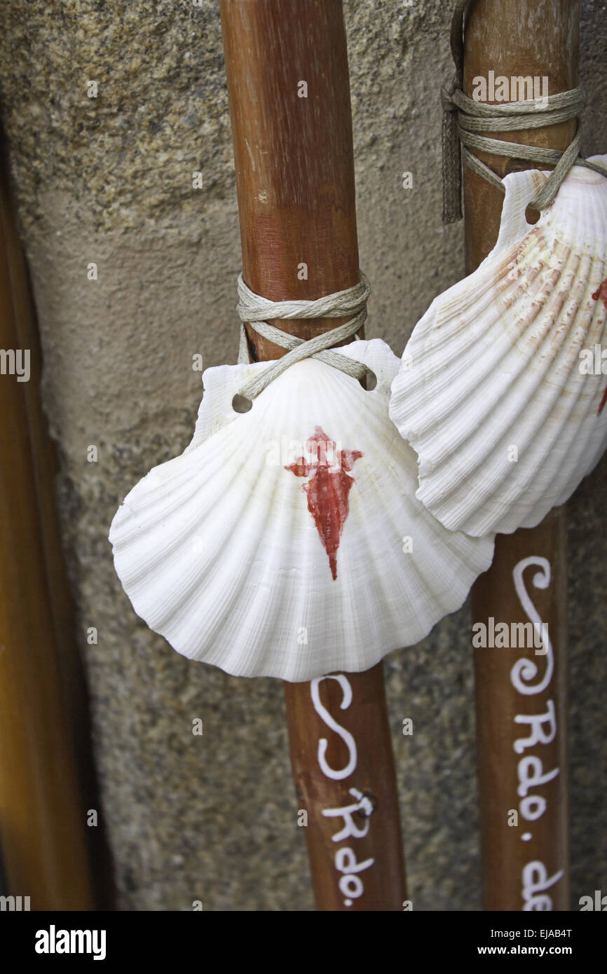 Religious symbol with cross on a white shell, road to santiago Stock ...