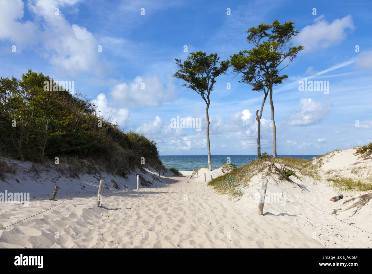 Darss ostsee hi-res stock photography and images - Alamy