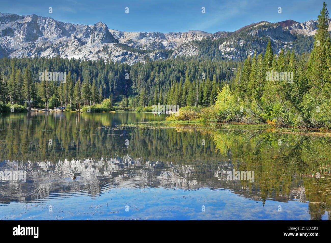 A lovely shallow lake in California Stock Photo - Alamy