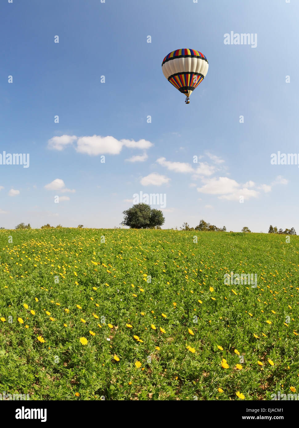 The huge field and multicolored balloon Stock Photo - Alamy