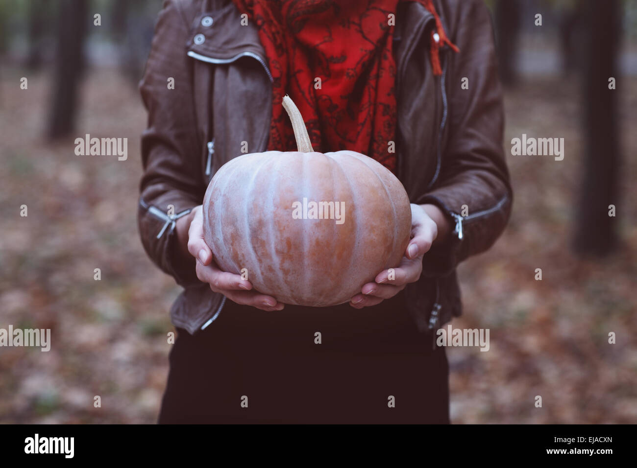 Pumpkin bike hi-res stock photography and images - Alamy
