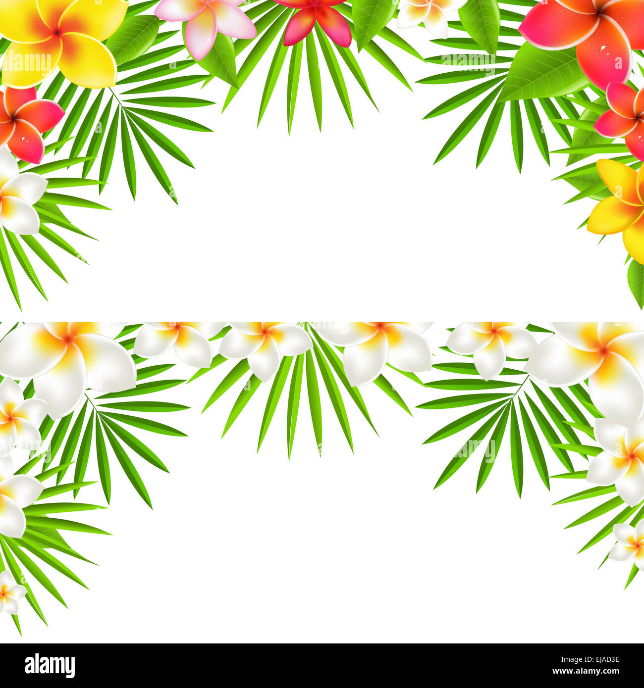 Tropical Flowers Border Set Stock Photo - Alamy