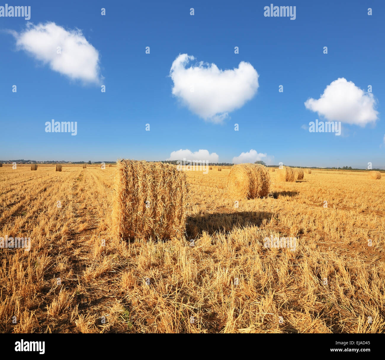 Corn stacks hi-res stock photography and images - Alamy