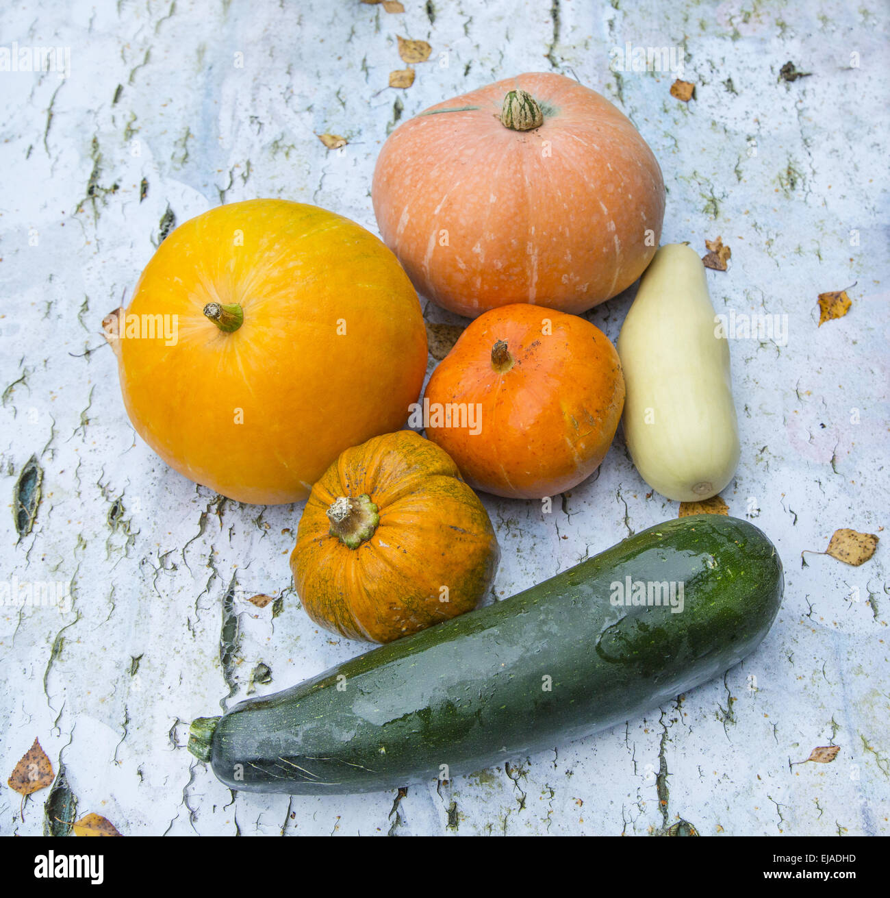 Pumpkin squash hi-res stock photography and images - Alamy