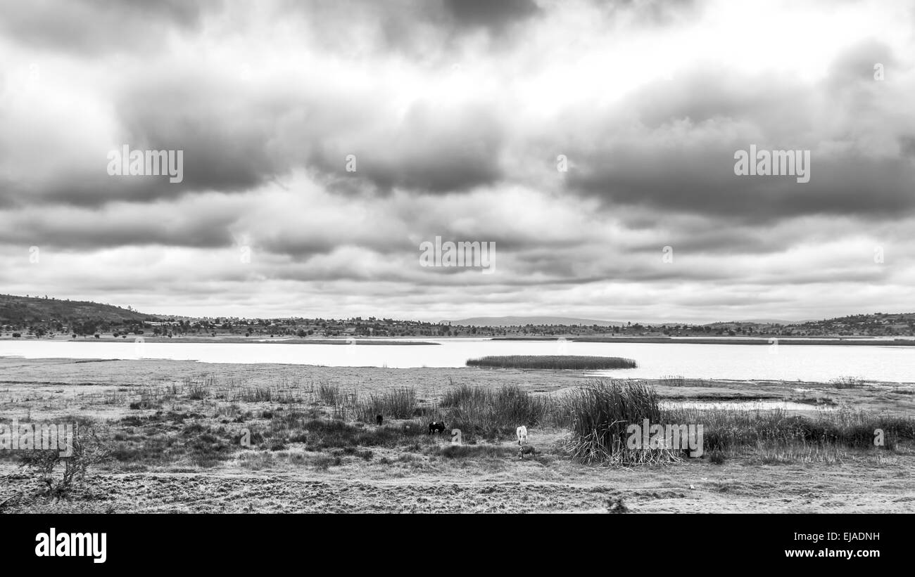 Adele is Black and White Stock Photos & Images - Alamy