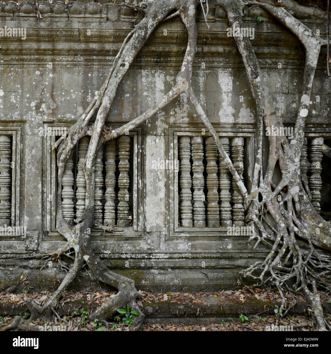 ASIA CAMBODIA ANGKOR BENG MEALEA Stock Photo - Alamy