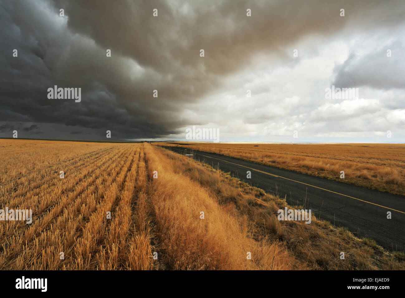 Weather thunderclouds hi-res stock photography and images - Alamy