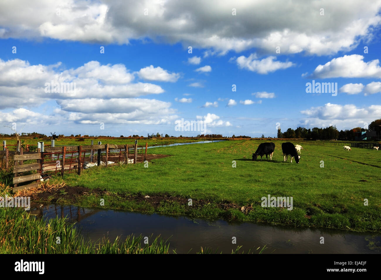 Season channel hi-res stock photography and images - Alamy
