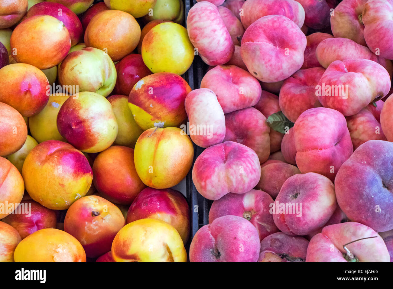 Different kinds of peaches Stock Photo - Alamy
