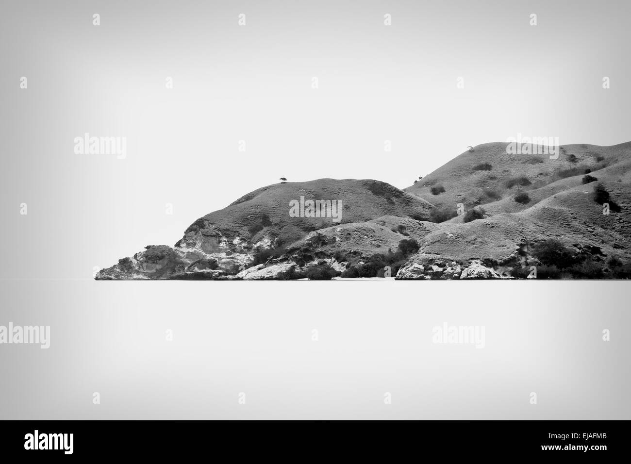 One small tree Black and White Stock Photos & Images - Alamy