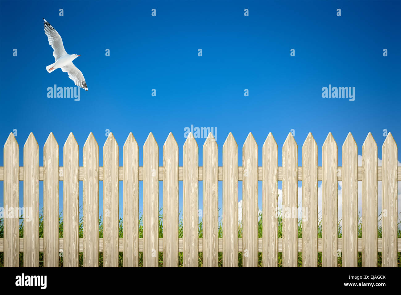 Lumber fence hi-res stock photography and images - Alamy