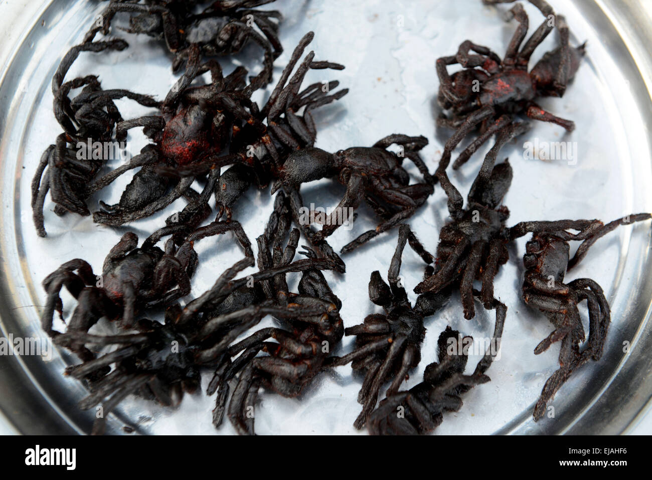 ASIA CAMBODIA SIEM RIEP Stock Photo - Alamy