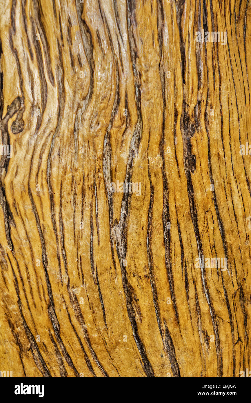 Textures and Patterns In wood Berkshire UK Stock Photo - Alamy