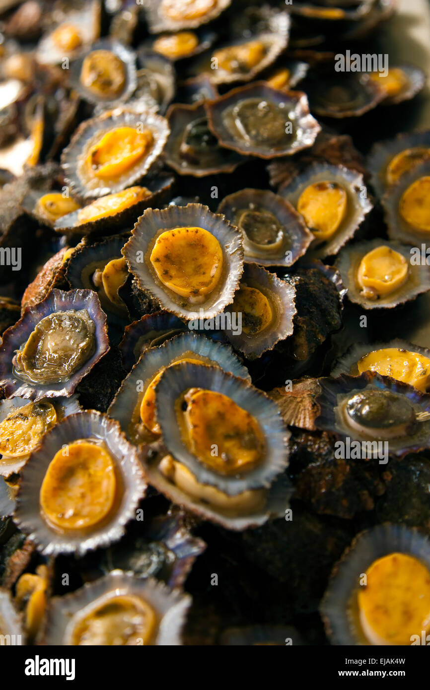 Limpets at Funchal fish market Madeira Portugal Stock Photo - Alamy