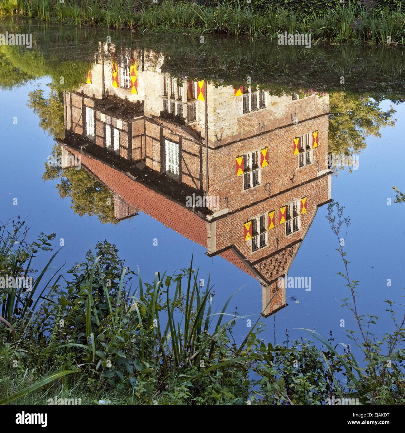 Drensteinfurt rinkerode hi-res stock photography and images - Alamy