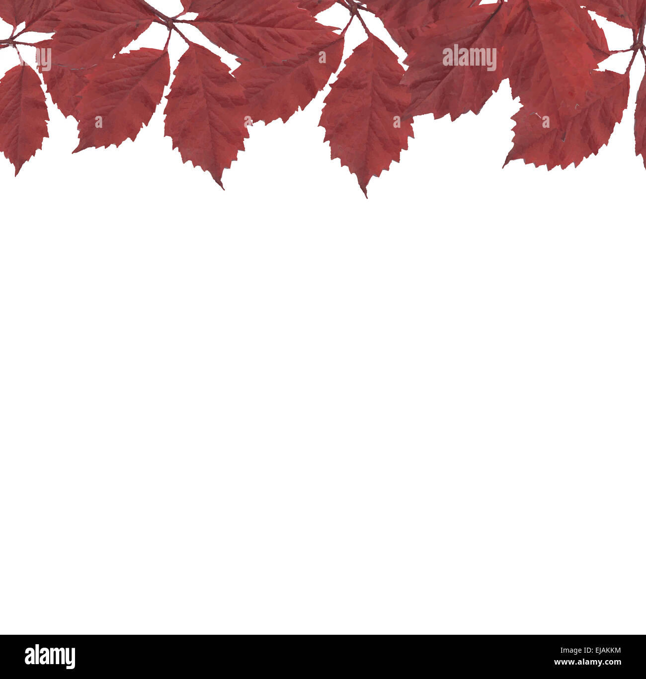 Red Leaves Border Stock Photo - Alamy