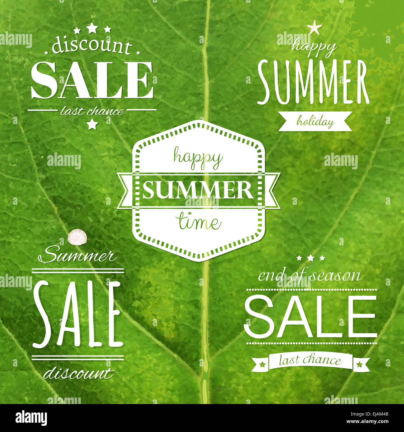 Green Leaf Texture With Summer Label Stock Photo - Alamy